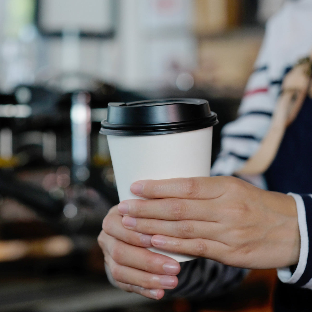 Single Use Plastic Bans 2024 – Star Group